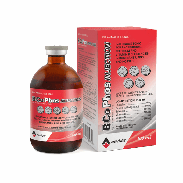 ANTROVET B CO PHOS INJECTION 100ML – bkbonline